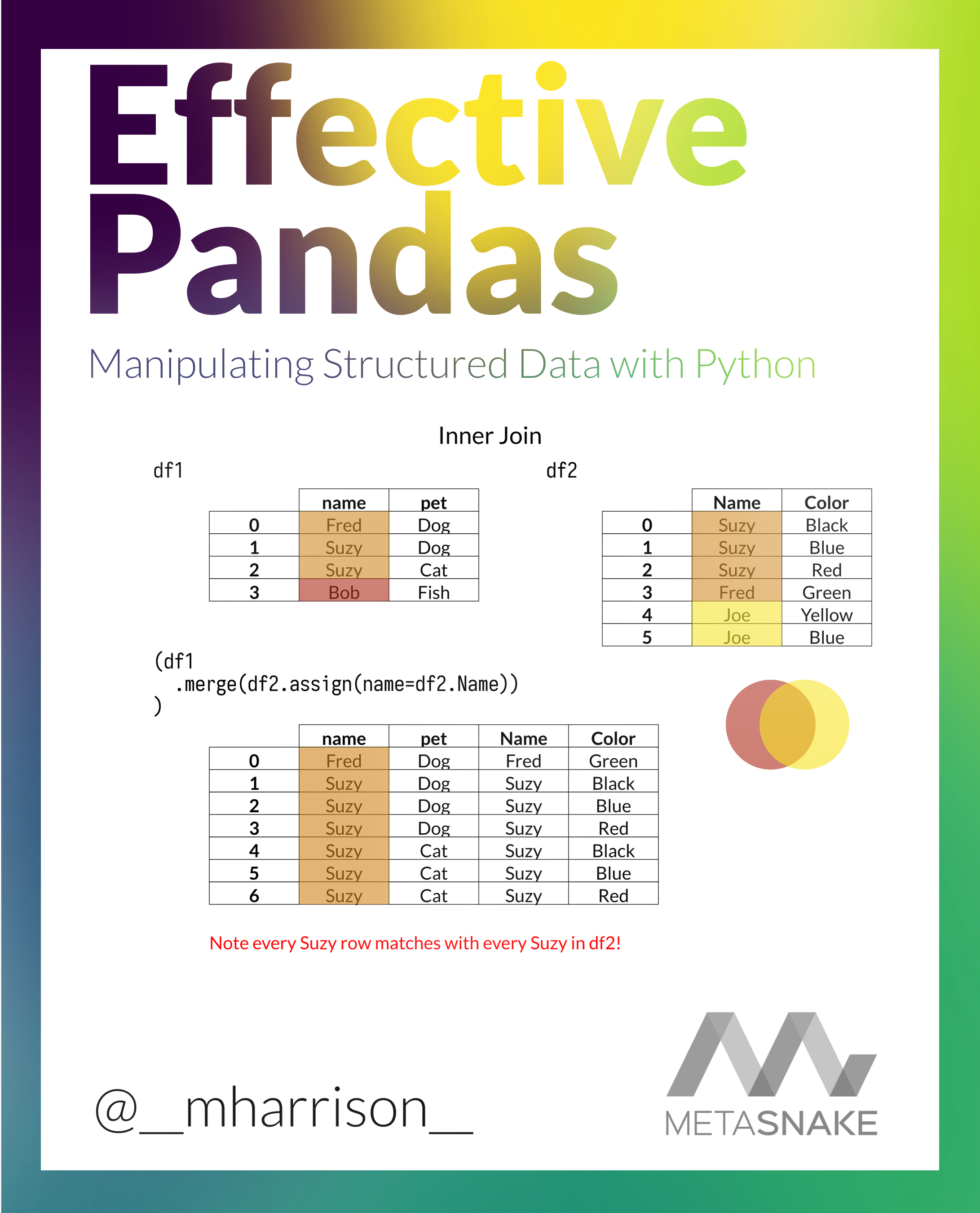 MetaSnake - Effective Pandas MetaSnake - Effective Pandas
